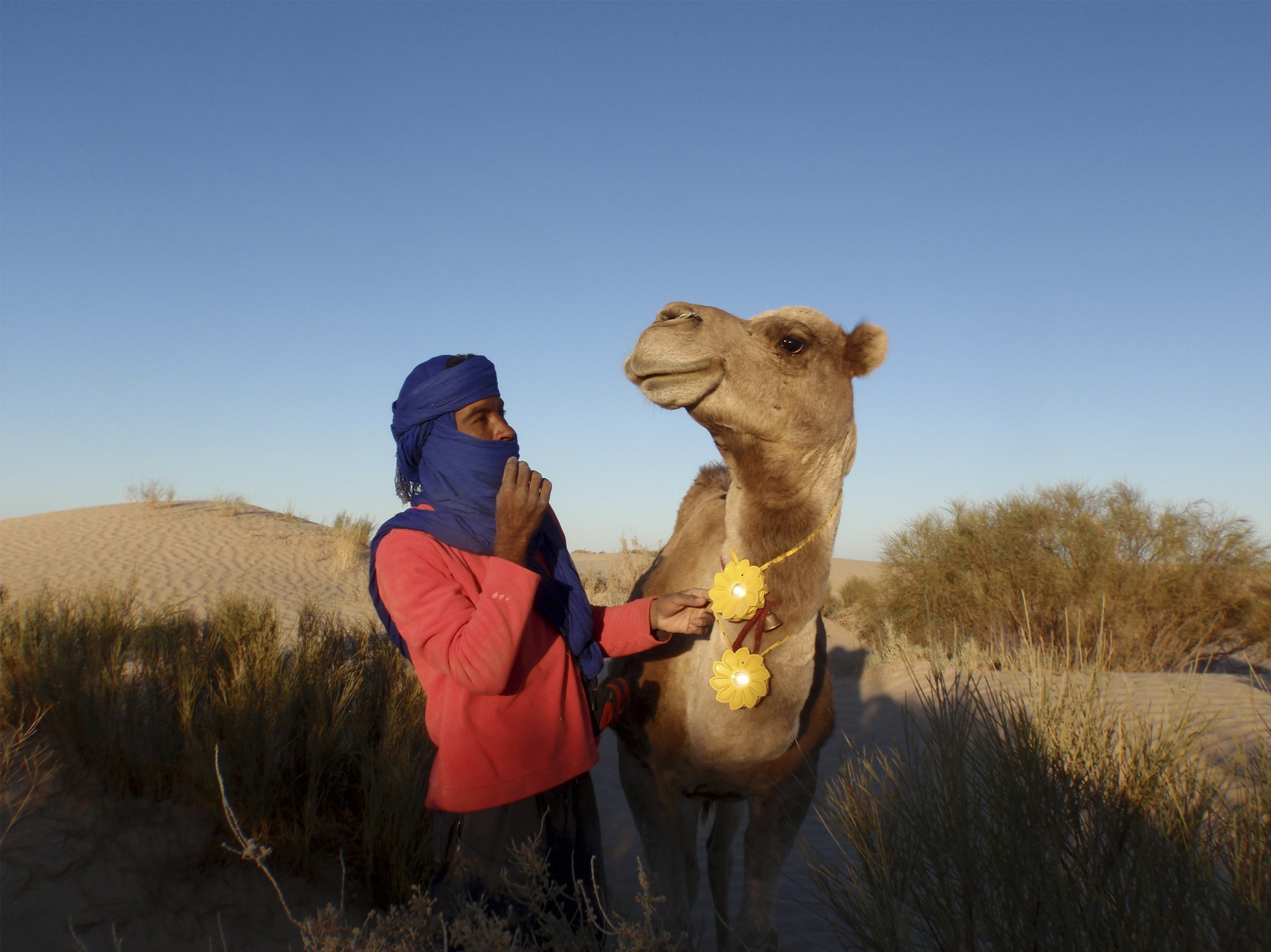 parallax-projects – Little Sun