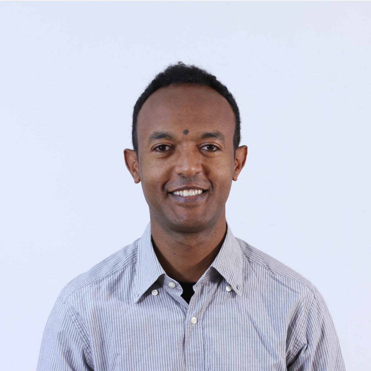 Possible World – Little Sun